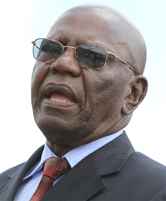 Zim after Bob: Plotting and planning