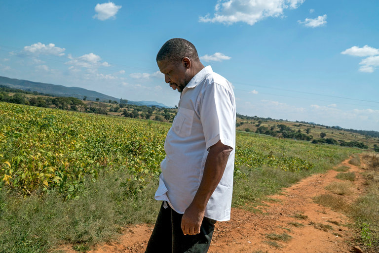 â€˜No One Is Safeâ€™: Zimbabwe Threatens to Seize Farms of Party Defectors