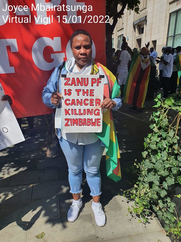 Mwonzora puts his case – Zimbabwe Vigil Diary